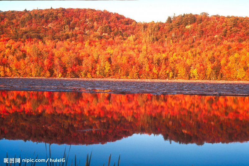 [注意]论坛界面加上了对大字体的支持-社区版务-看雪-安全社区|安全招聘|kanxue.com